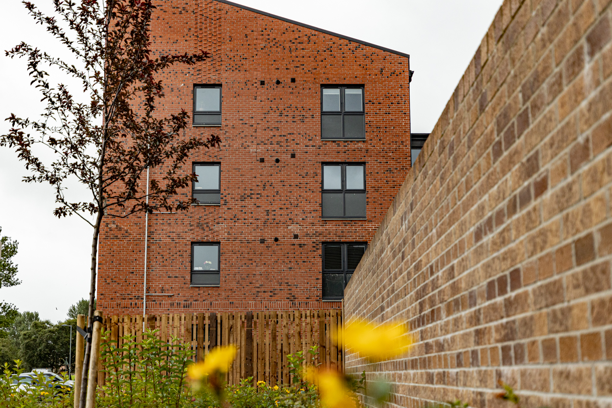 The Thomson - Urban Union Ltd