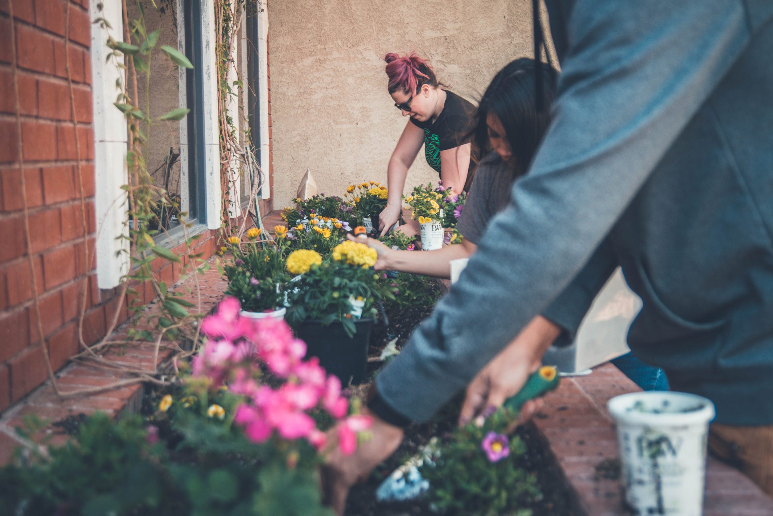 What does community housing mean? | Urban Union Ltd
